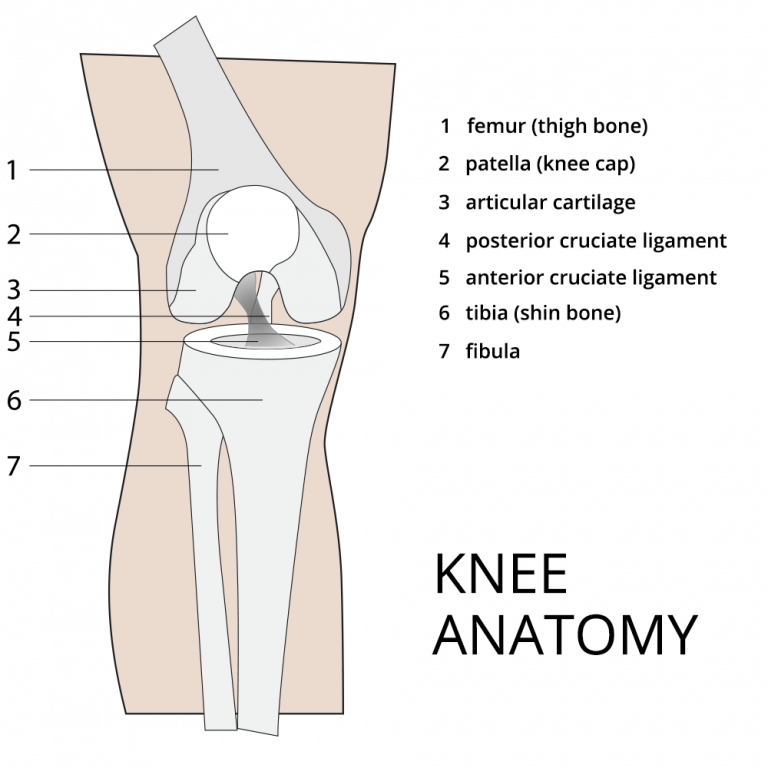 Runner's Knee (Patellofemoral Stress Syndrome) - Towson Orthopaedic ...